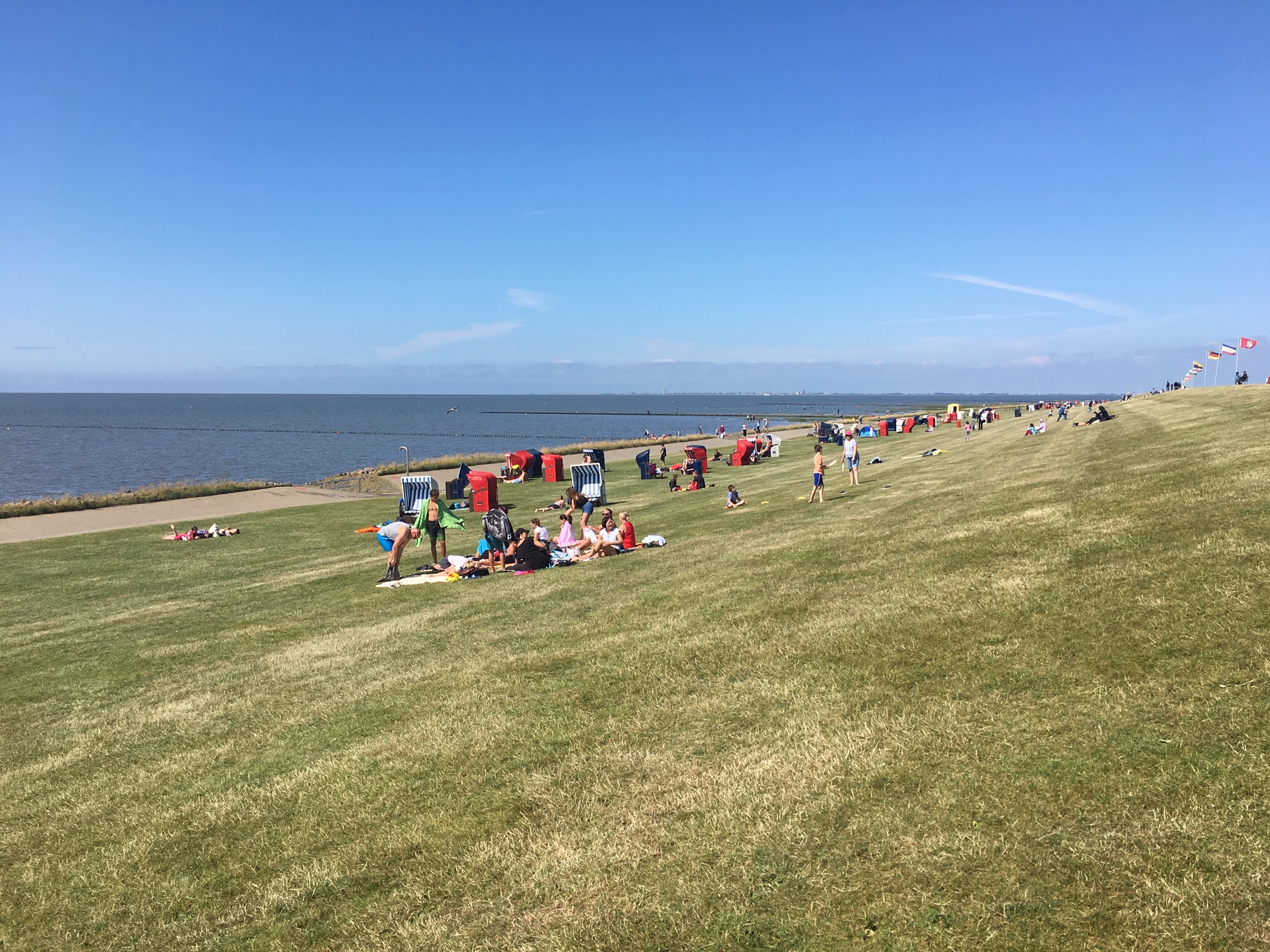 Nordseeurlaub-Friedrichskoog - Infos & Bilder
